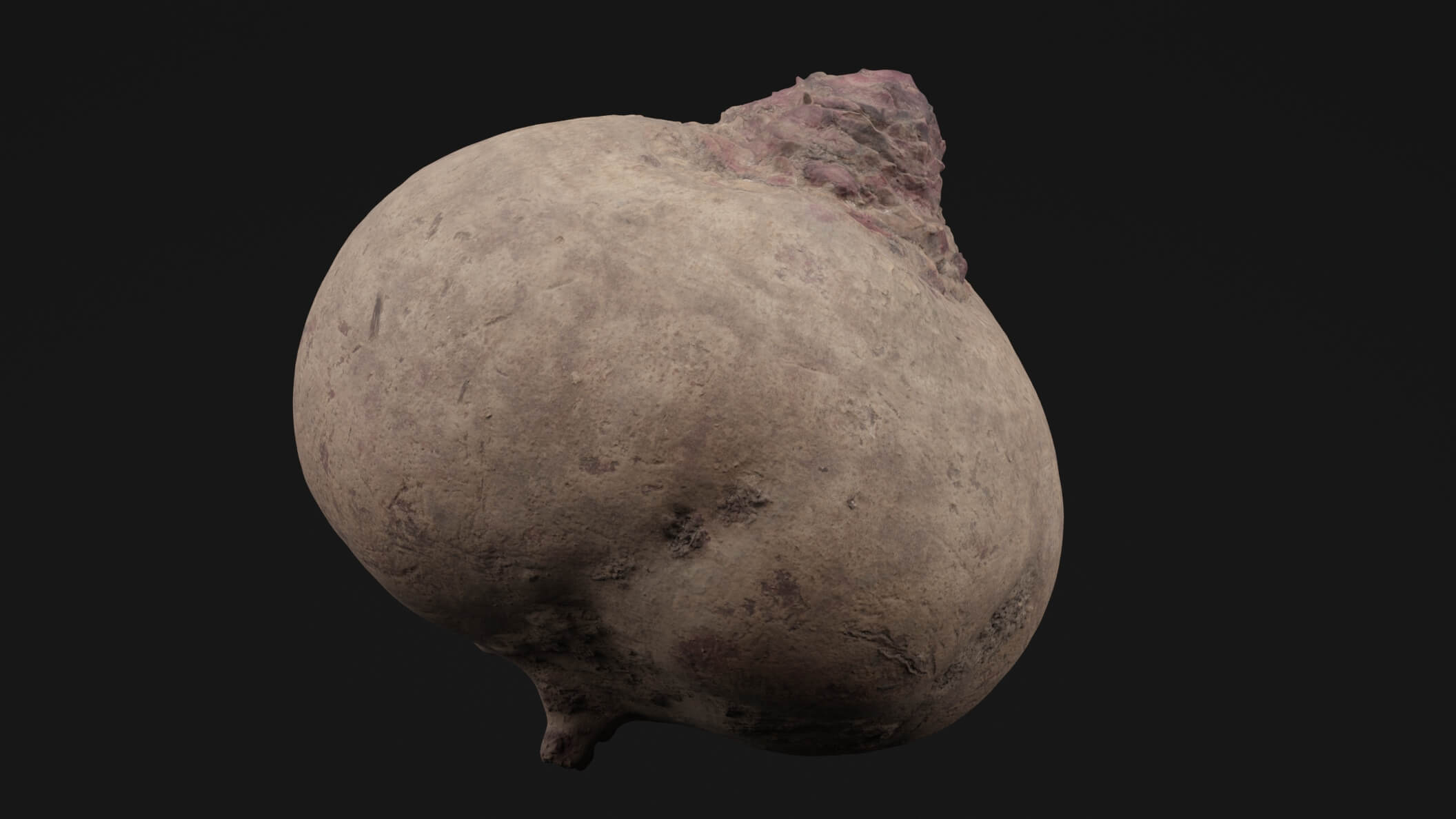 Beetroot Vegetable - 3D Model by Green Lander