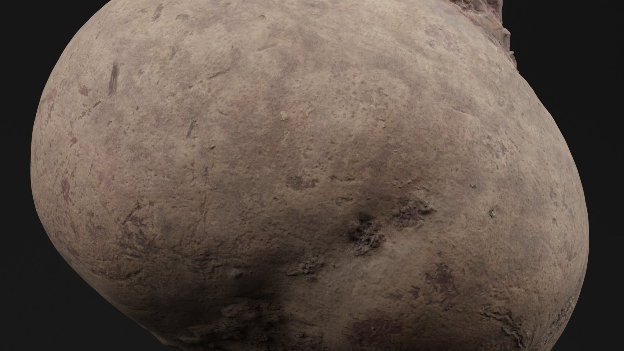 Beetroot Vegetable - 3D Model by Green Lander