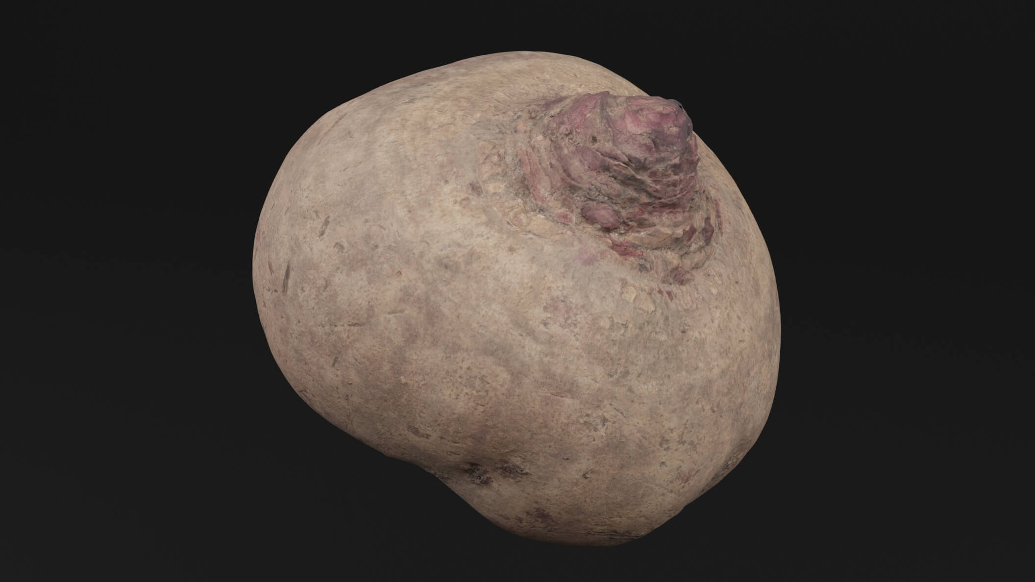 Beetroot Vegetable - 3D Model by Green Lander