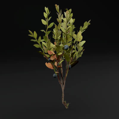 Dae 3D Models | Plants | RenderHub