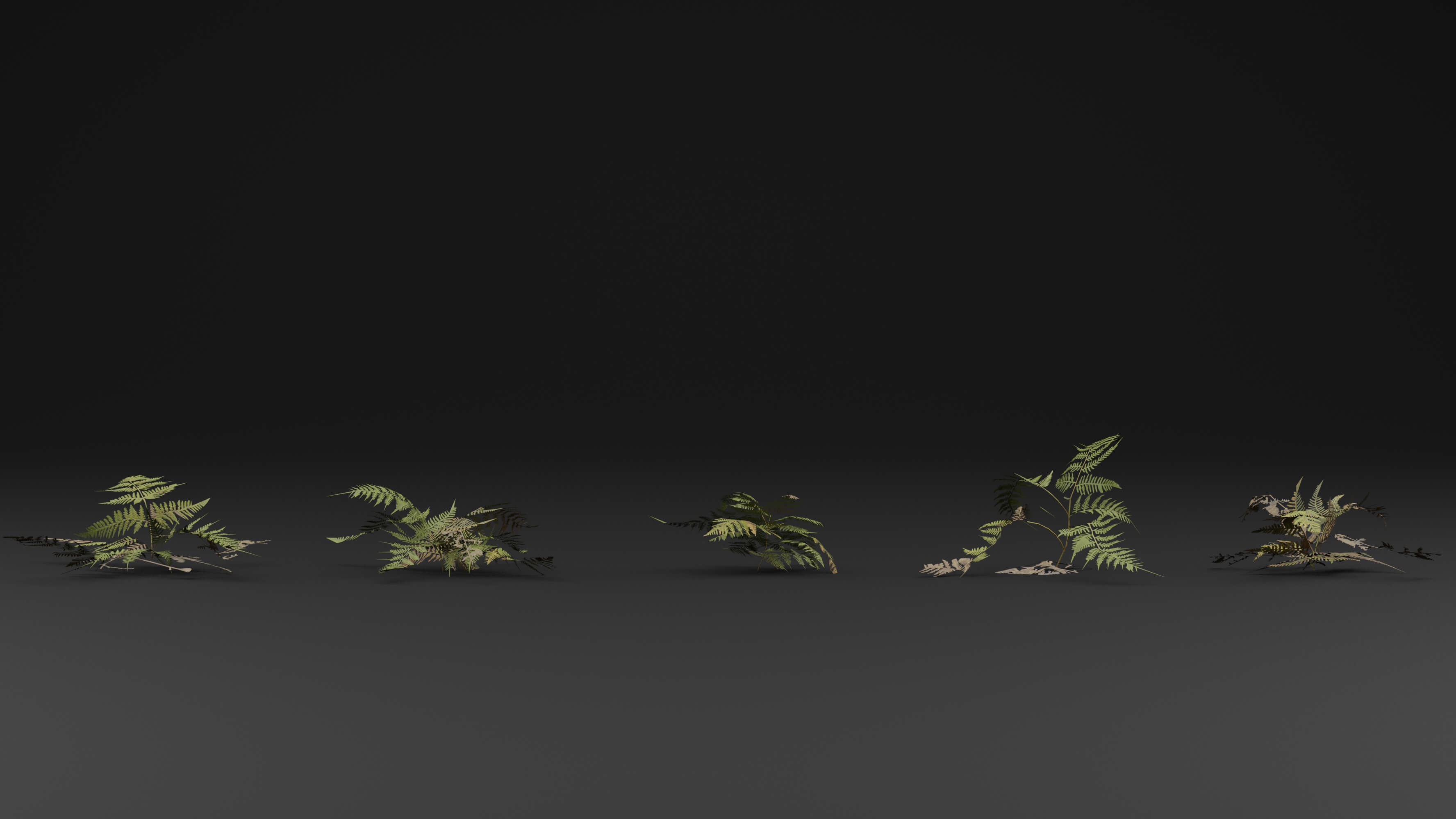 Bracken Fern Plant - 3D Model by Green Lander