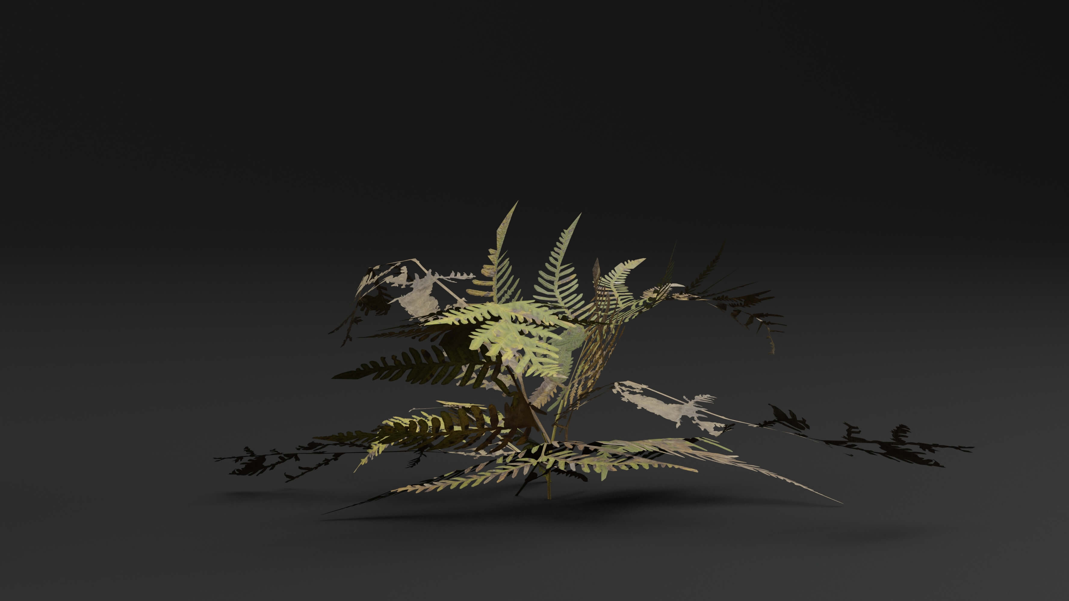 Bracken Fern Plant - 3D Model by Green Lander