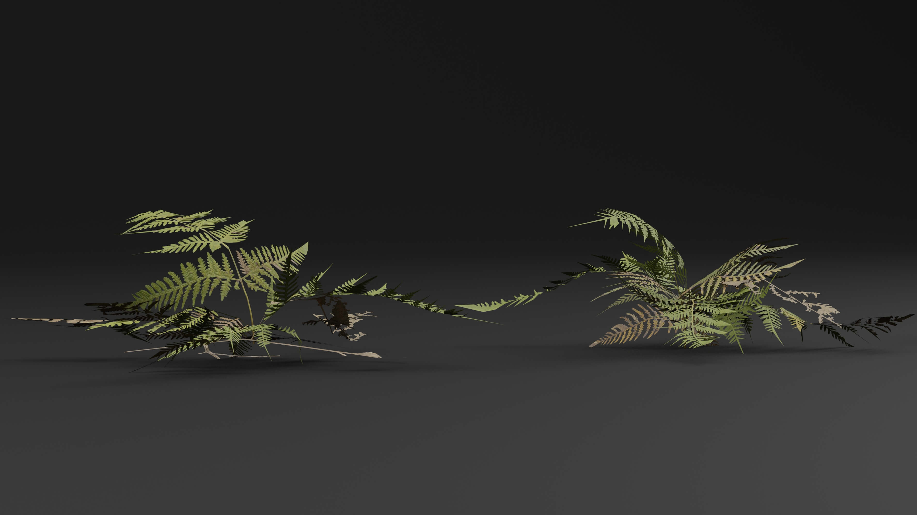Bracken Fern Plant - 3D Model by Green Lander