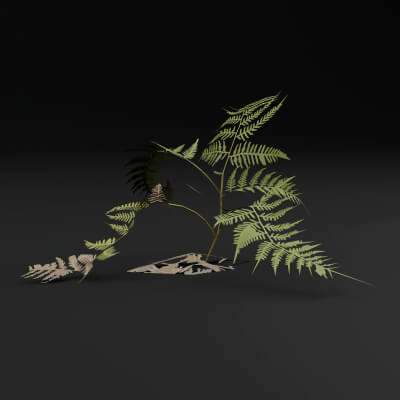 Bracken Fern Plant - 3D Model by Green Lander