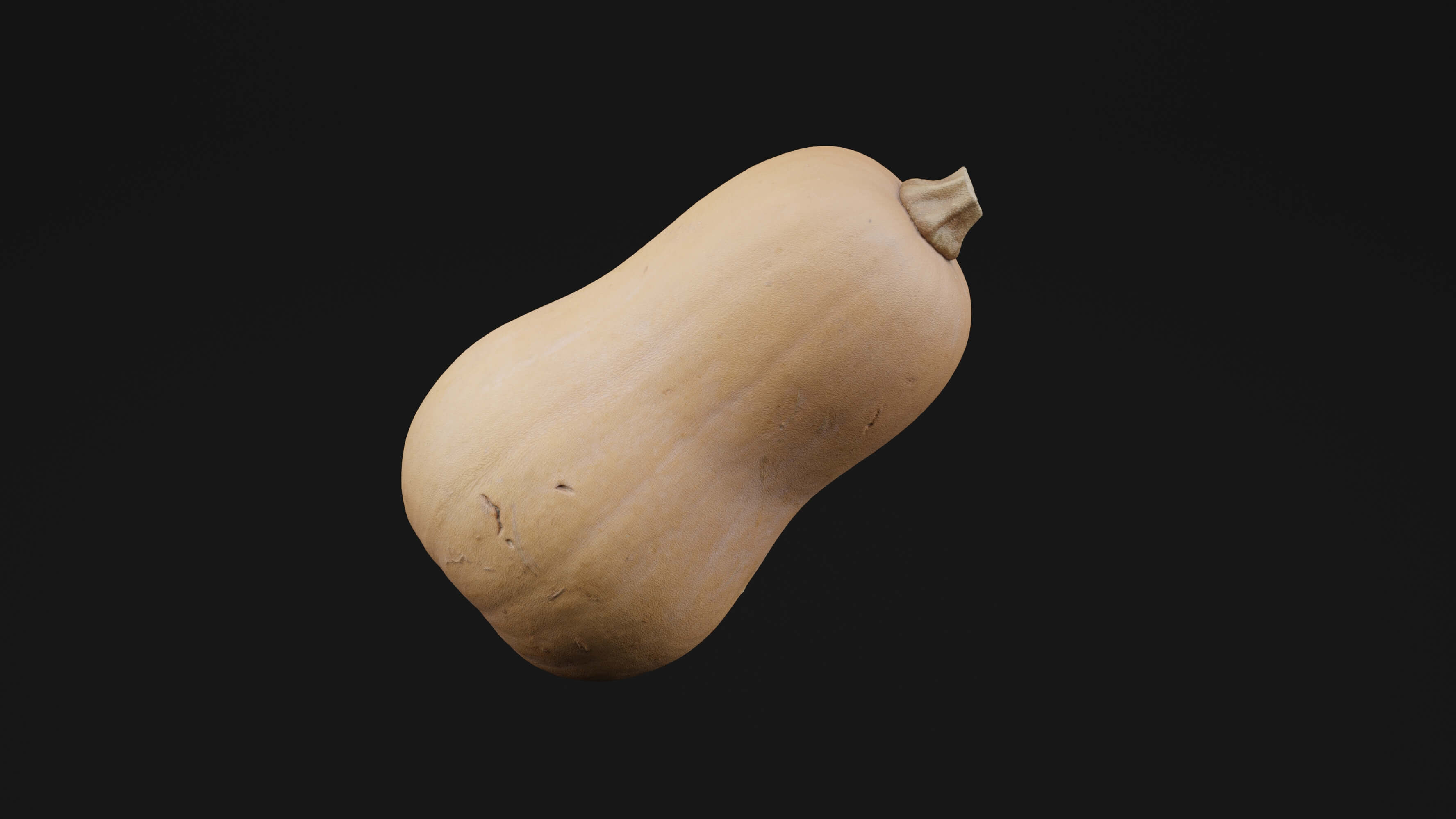 Butternut Pumpkin Fruit - 3D Model by Green Lander