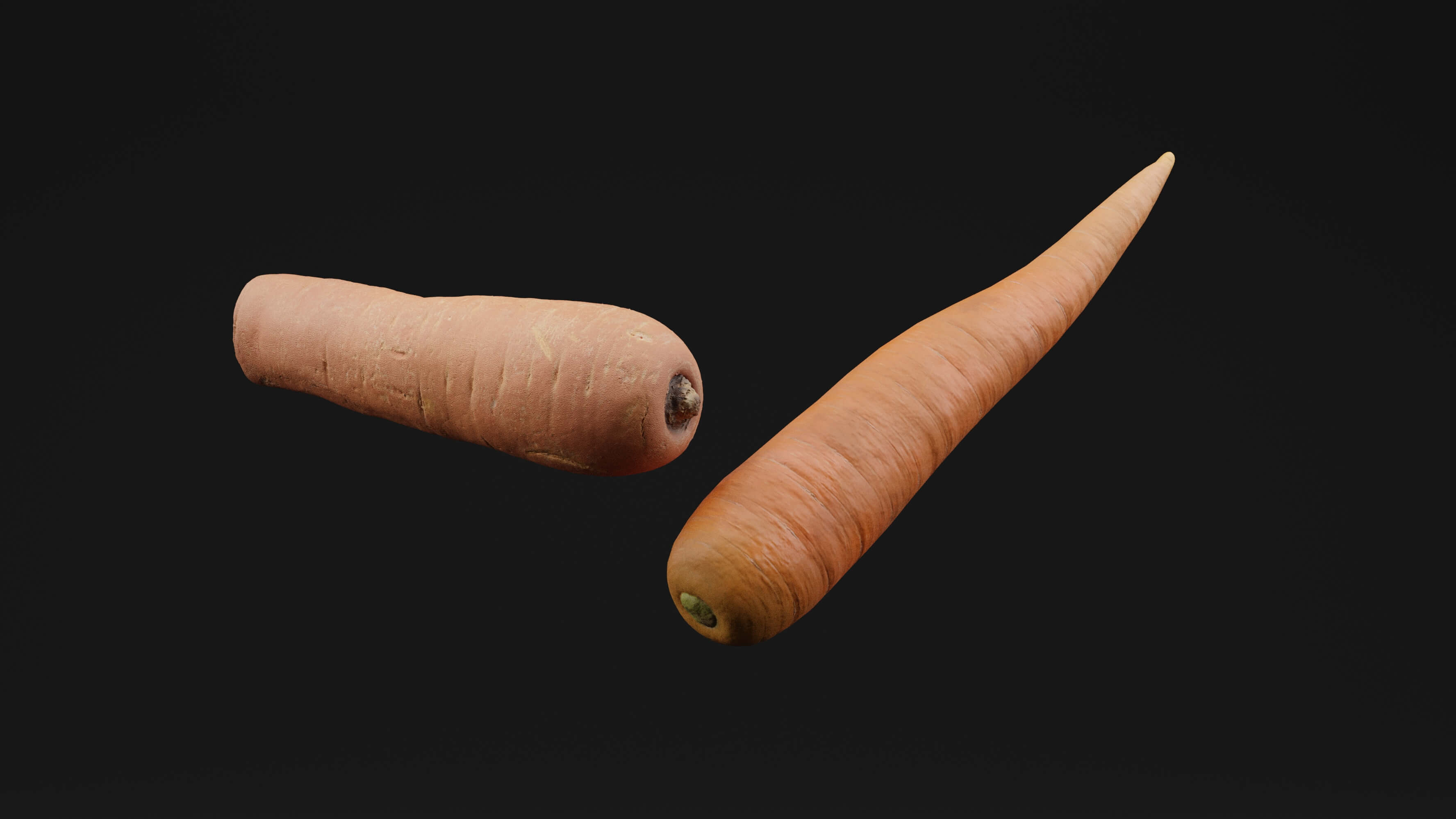 Carrot Vegetable - 3D Model by Green Lander