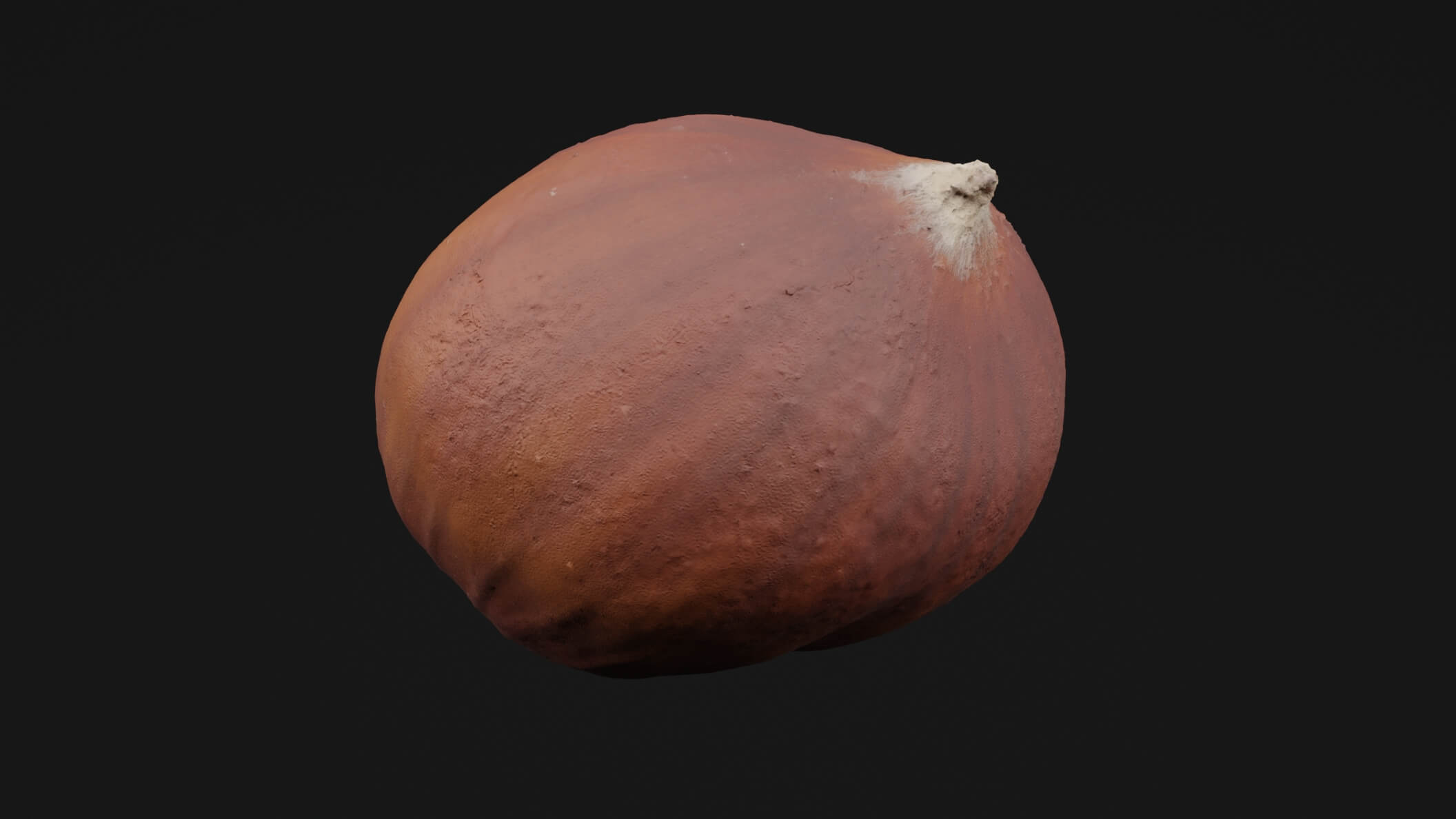 Chestnut Nuts - 3D Model by Green Lander