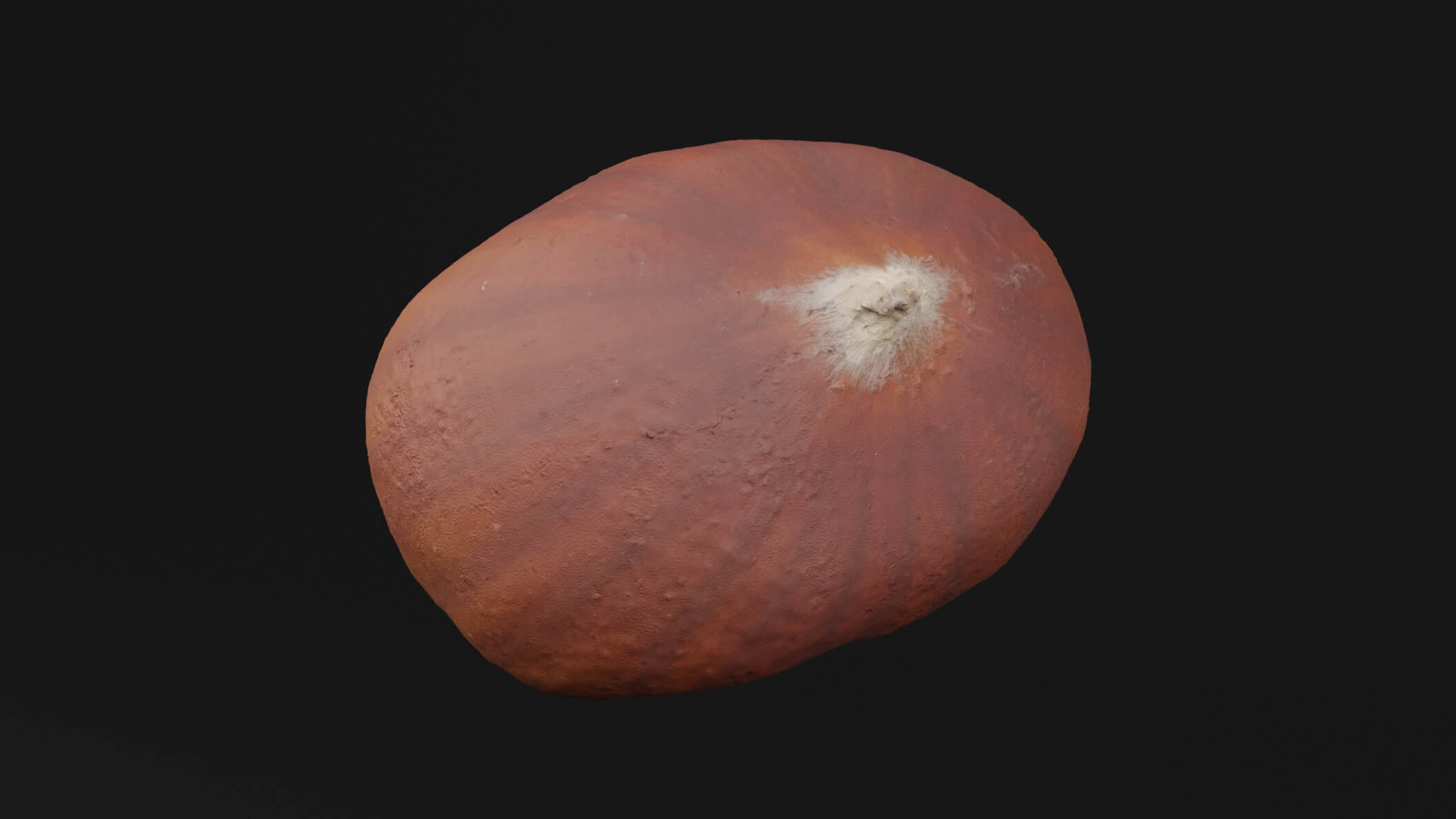 Chestnut Nuts - 3D Model by Green Lander