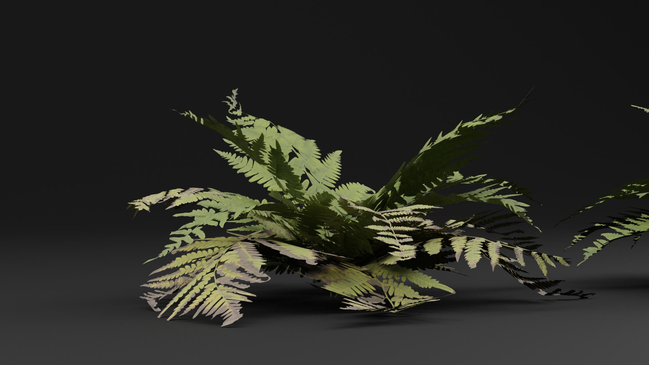 Classic Fern Plant - 3D Model by Green Lander