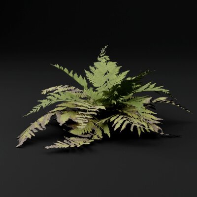 Classic Fern Plant - 3D Model by Green Lander