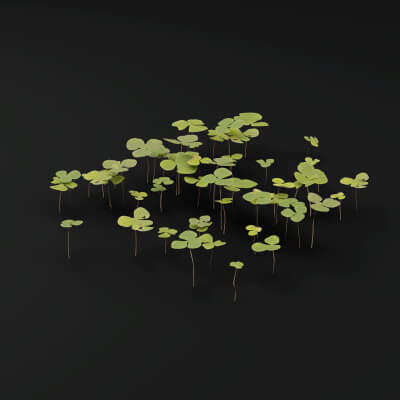 Dae 3D Models | Plants | RenderHub