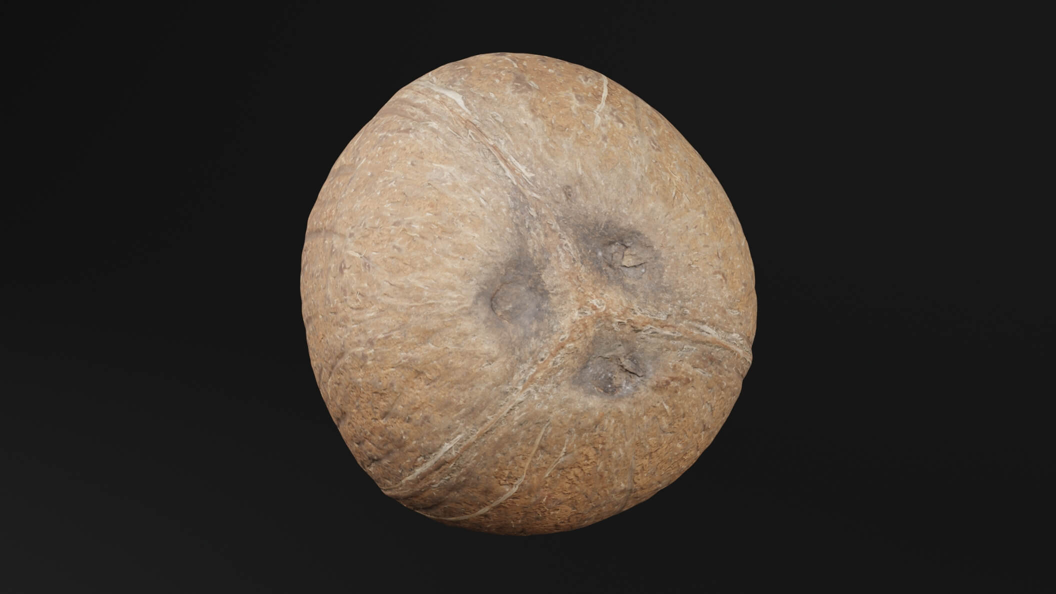 Coconut Fruit - 3D Model by Green Lander