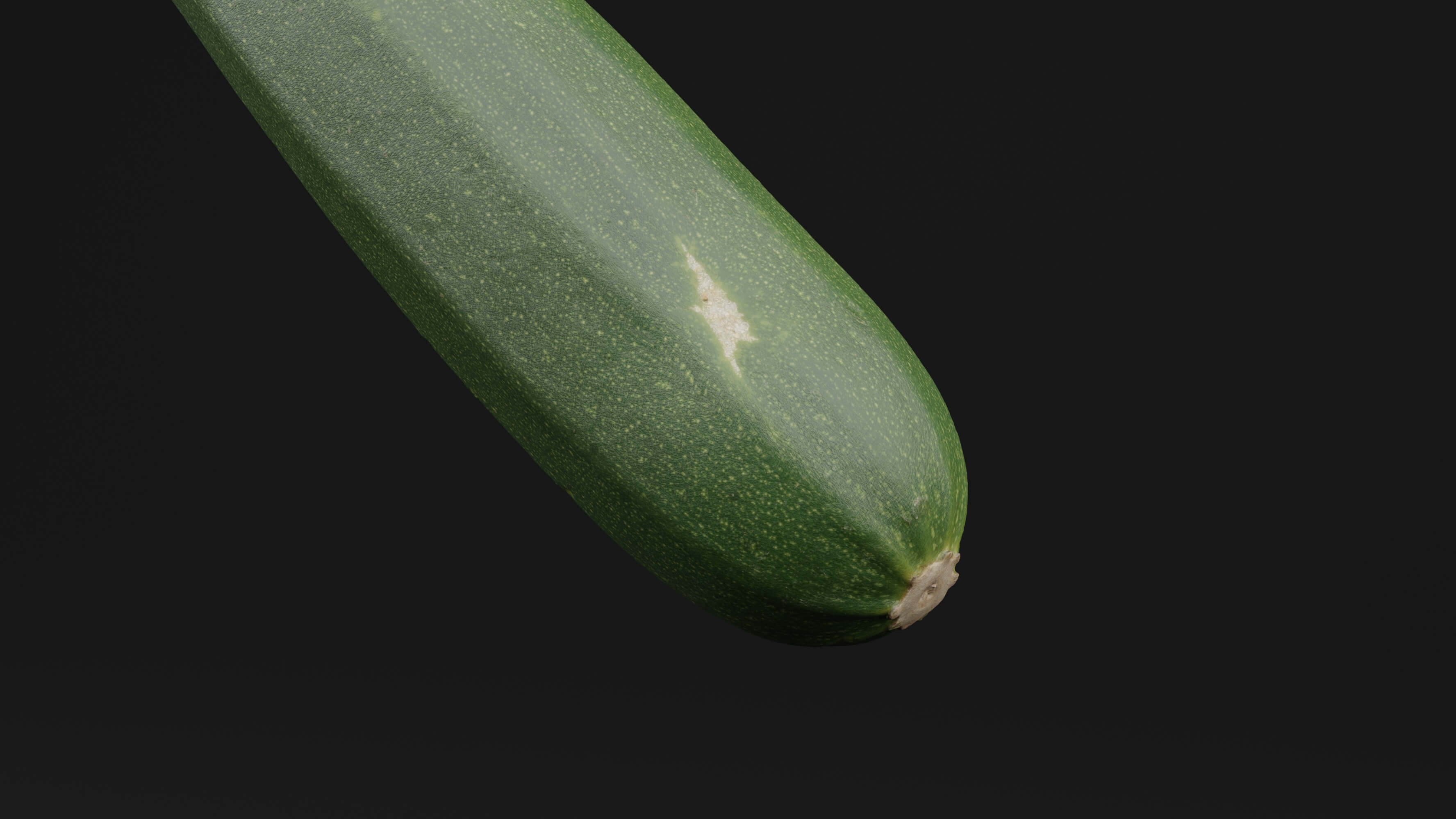 Courgette Vegetable - 3D Model by Green Lander
