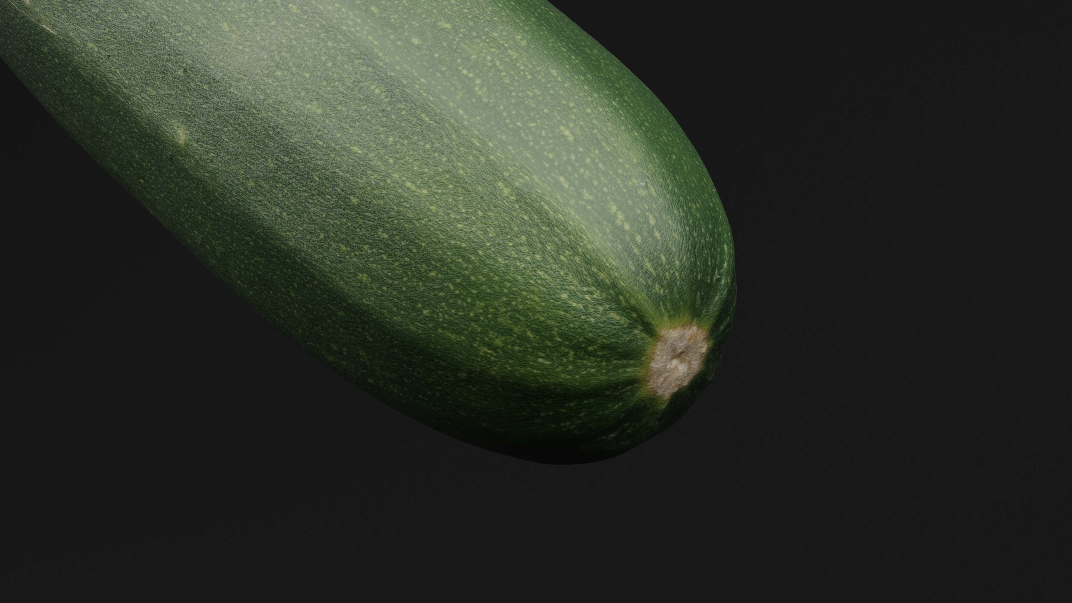 Courgette Vegetable - 3D Model by Green Lander