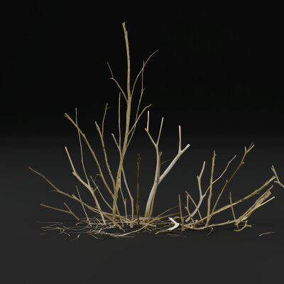 Dead Bush Plant - 3D Model by Green Lander
