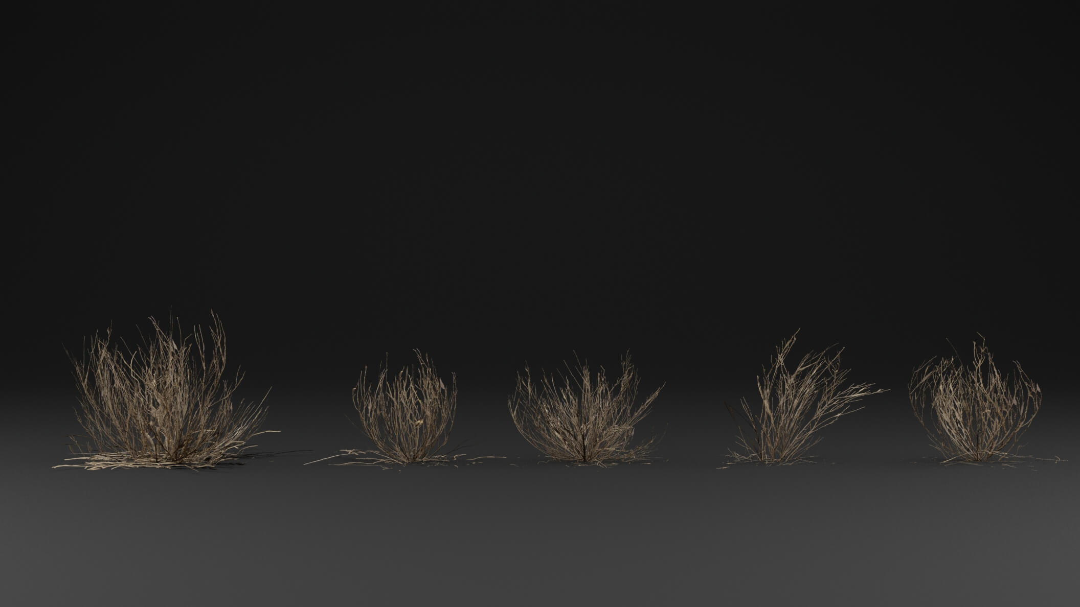 Dead Bush Plant - 3D Model by Green Lander