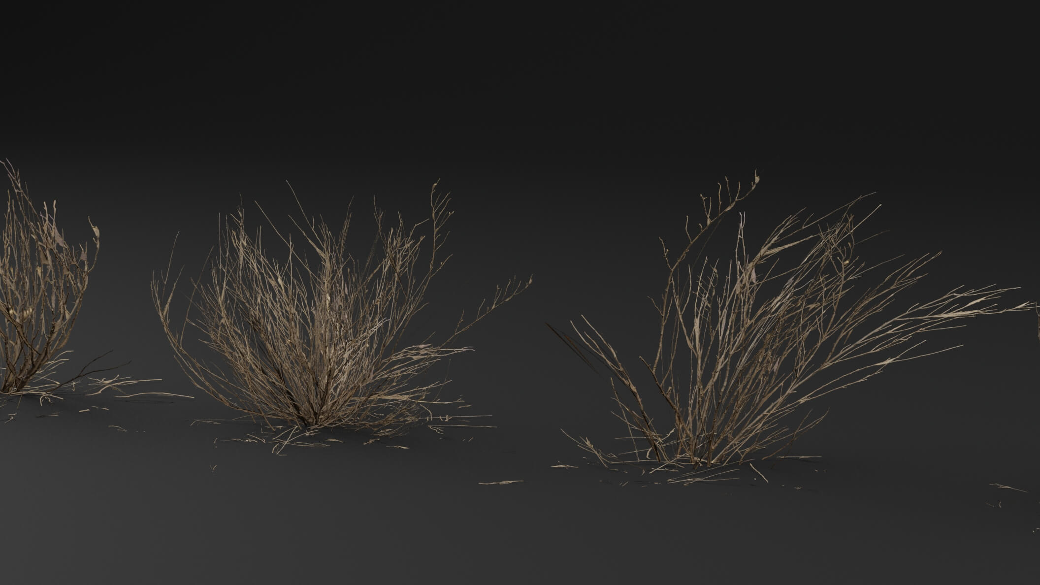 Dead Bush Plant - 3D Model by Green Lander