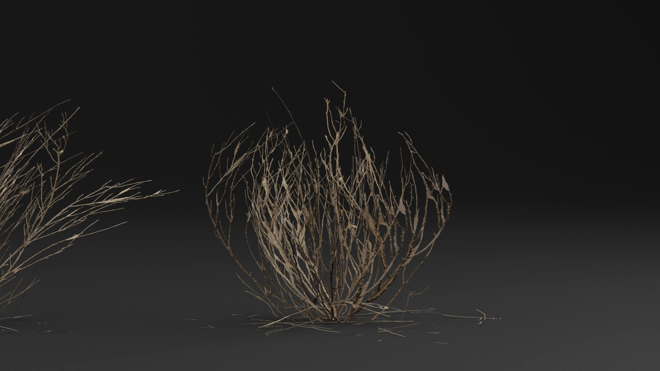 Dead Bush Plant - 3D Model by Green Lander