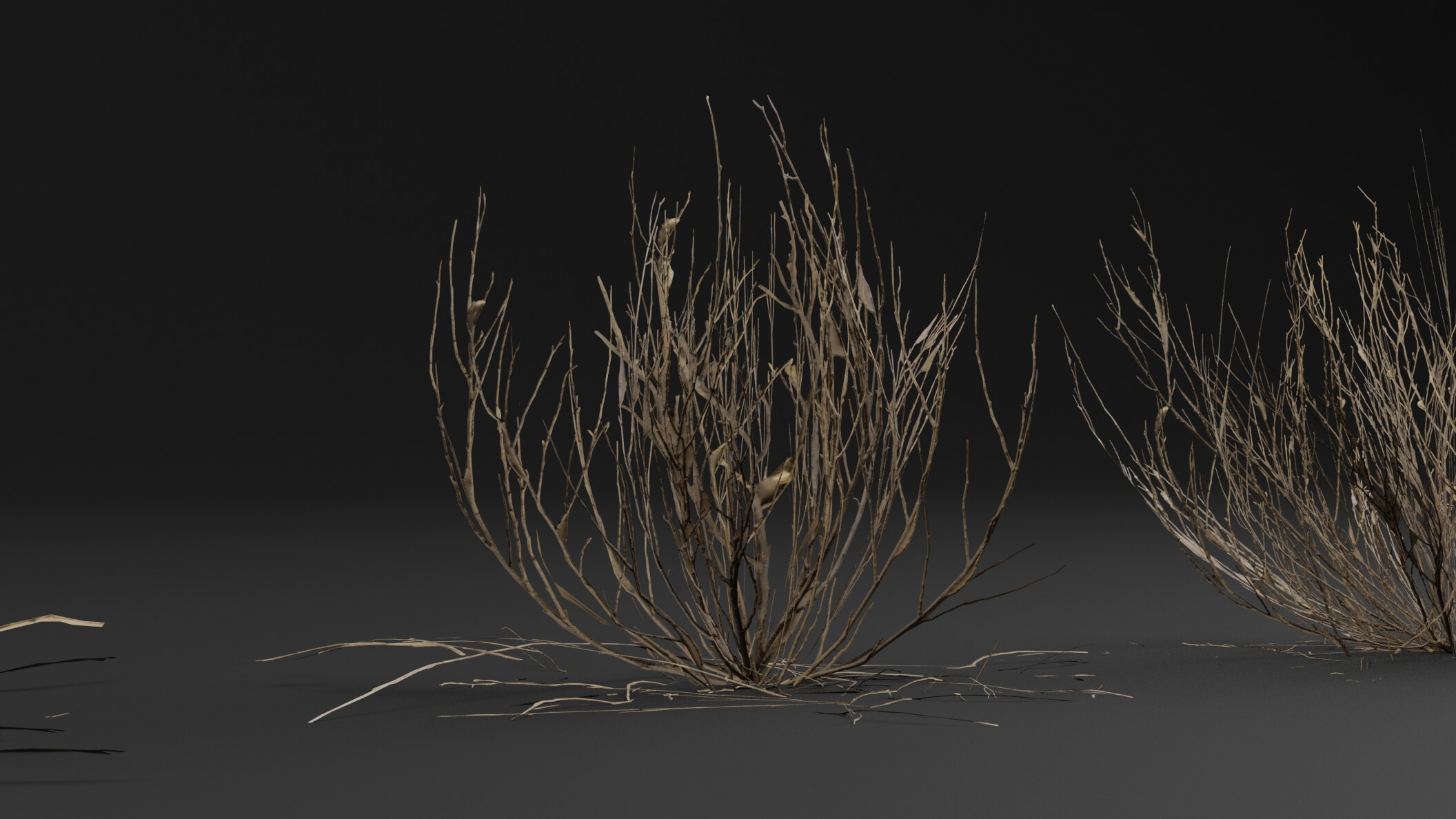 Dead Bush Plant - 3D Model by Green Lander