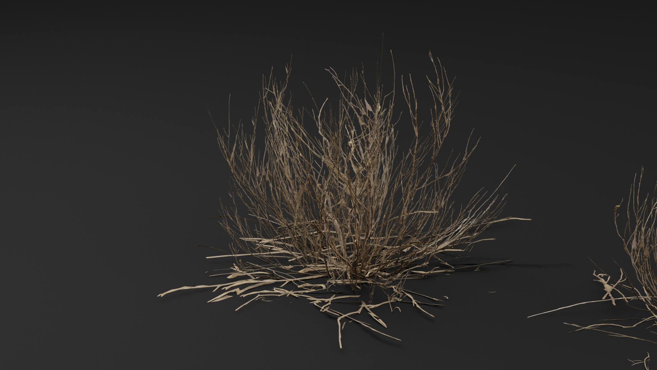 Dead Bush Plant - 3D Model by Green Lander