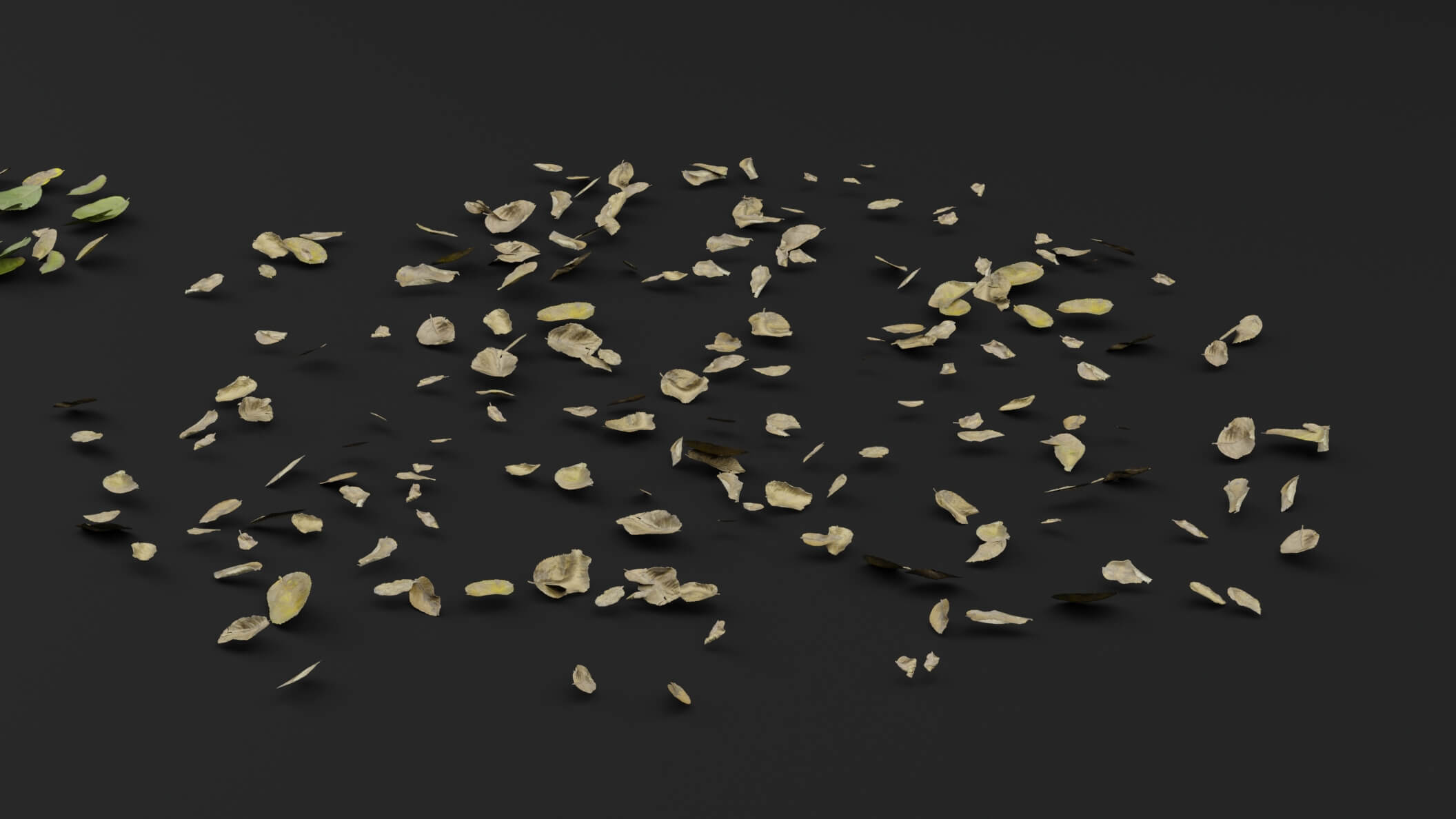 Dead Leaves Plant - 3D Model by Green Lander