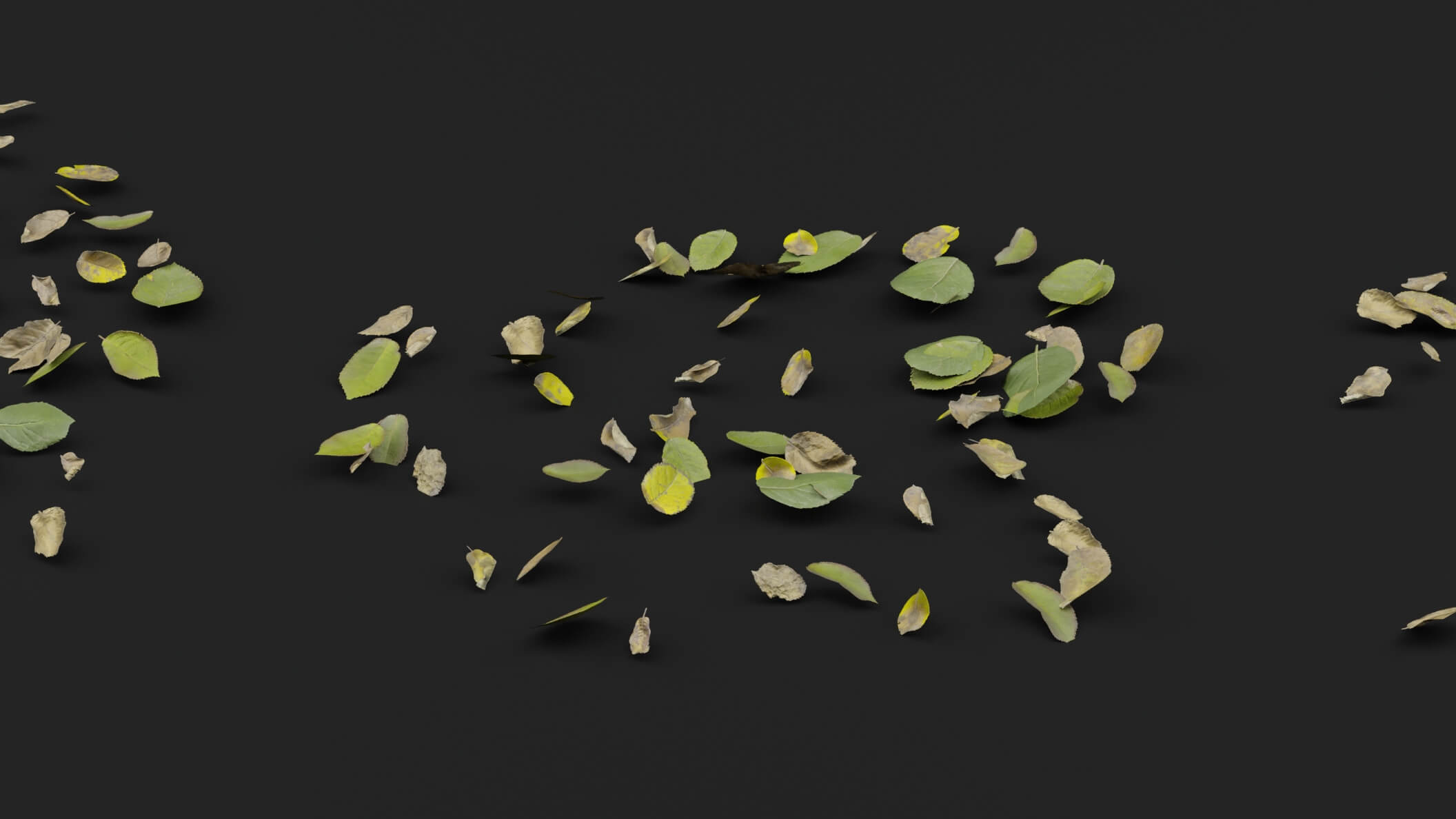 Dead Leaves Plant - 3D Model by Green Lander
