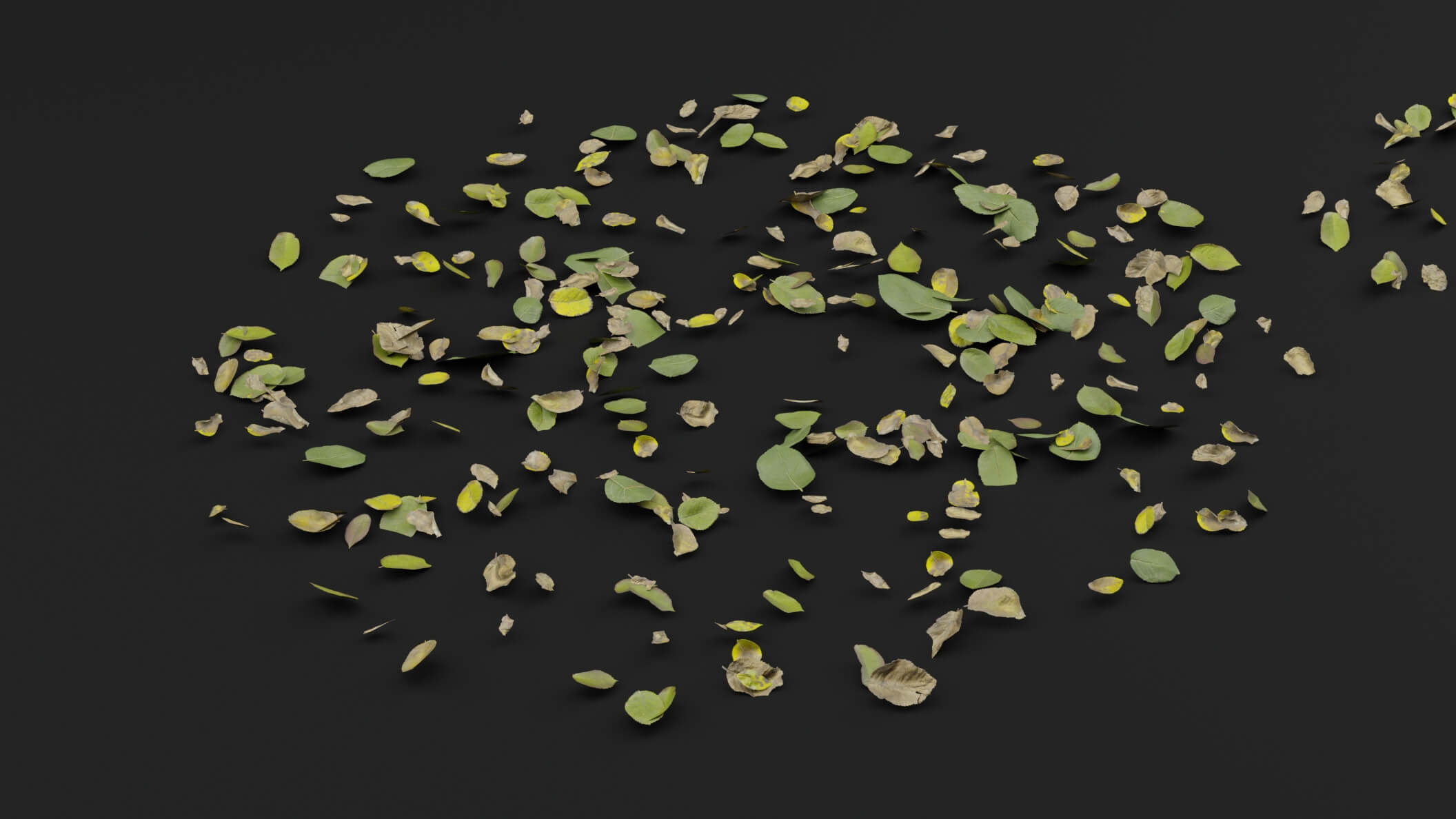 Dead Leaves Plant - 3D Model by Green Lander