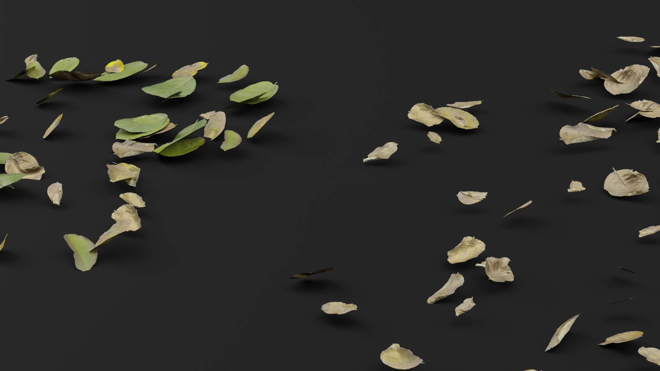 Dead Leaves Plant - 3D Model by Green Lander