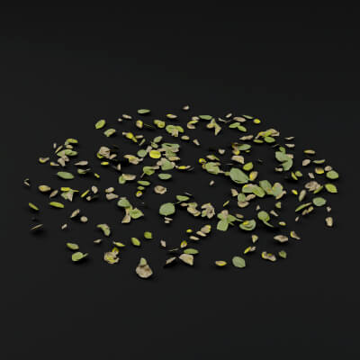 Dead Leaves Plant - 3D Model by Green Lander