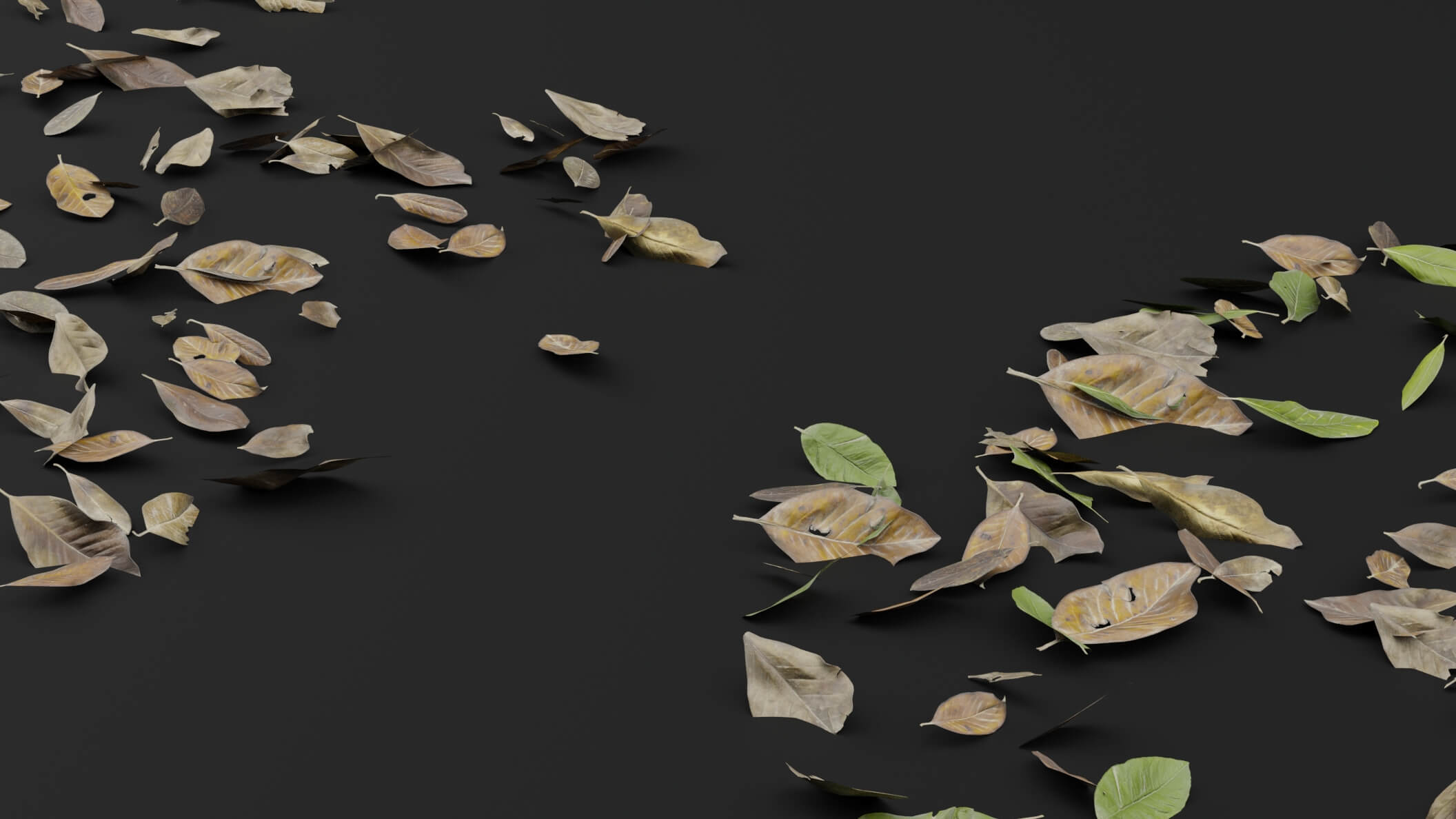 Dead Leaves Plant - 3D Model by Green Lander