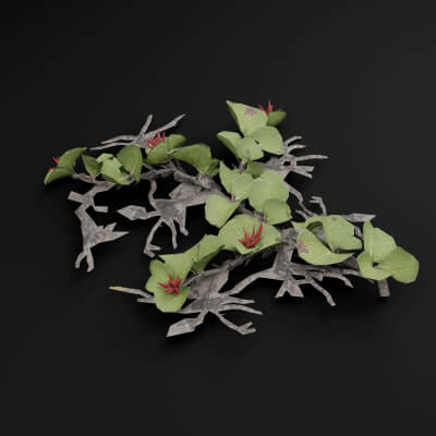 Dwarf Australian Weeping Willow - 3D Model by Green Lander
