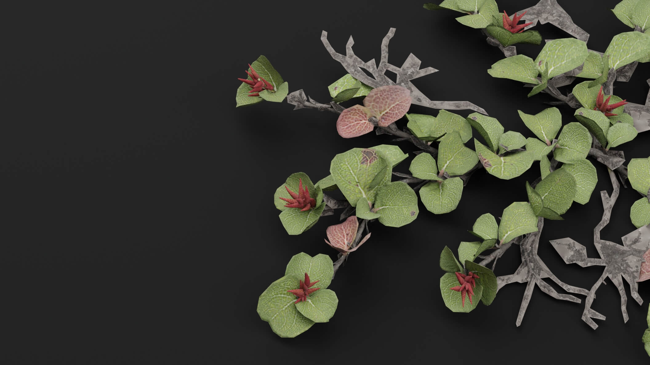 Dwarf Australian Weeping Willow - 3D Model by Green Lander