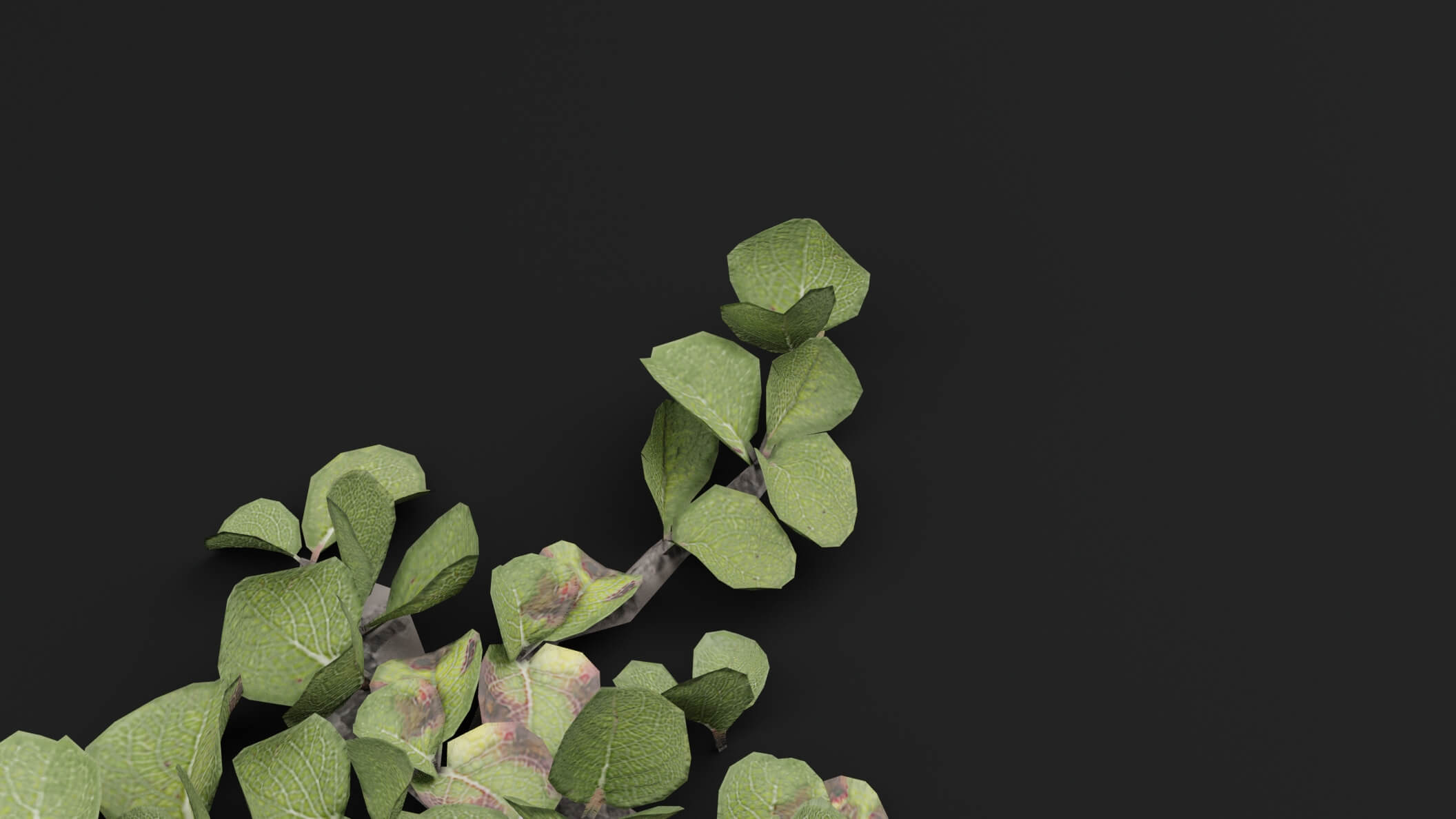 Dwarf Australian Weeping Willow - 3D Model by Green Lander
