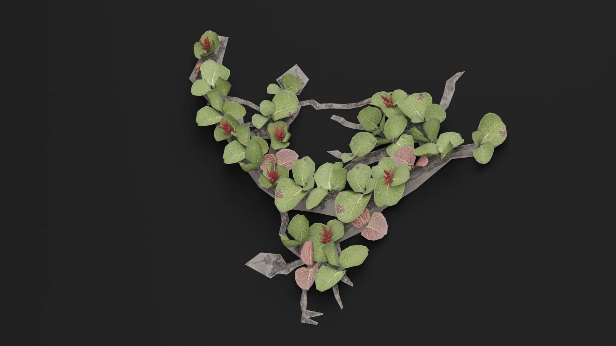 Dwarf Australian Weeping Willow - 3D Model by Green Lander