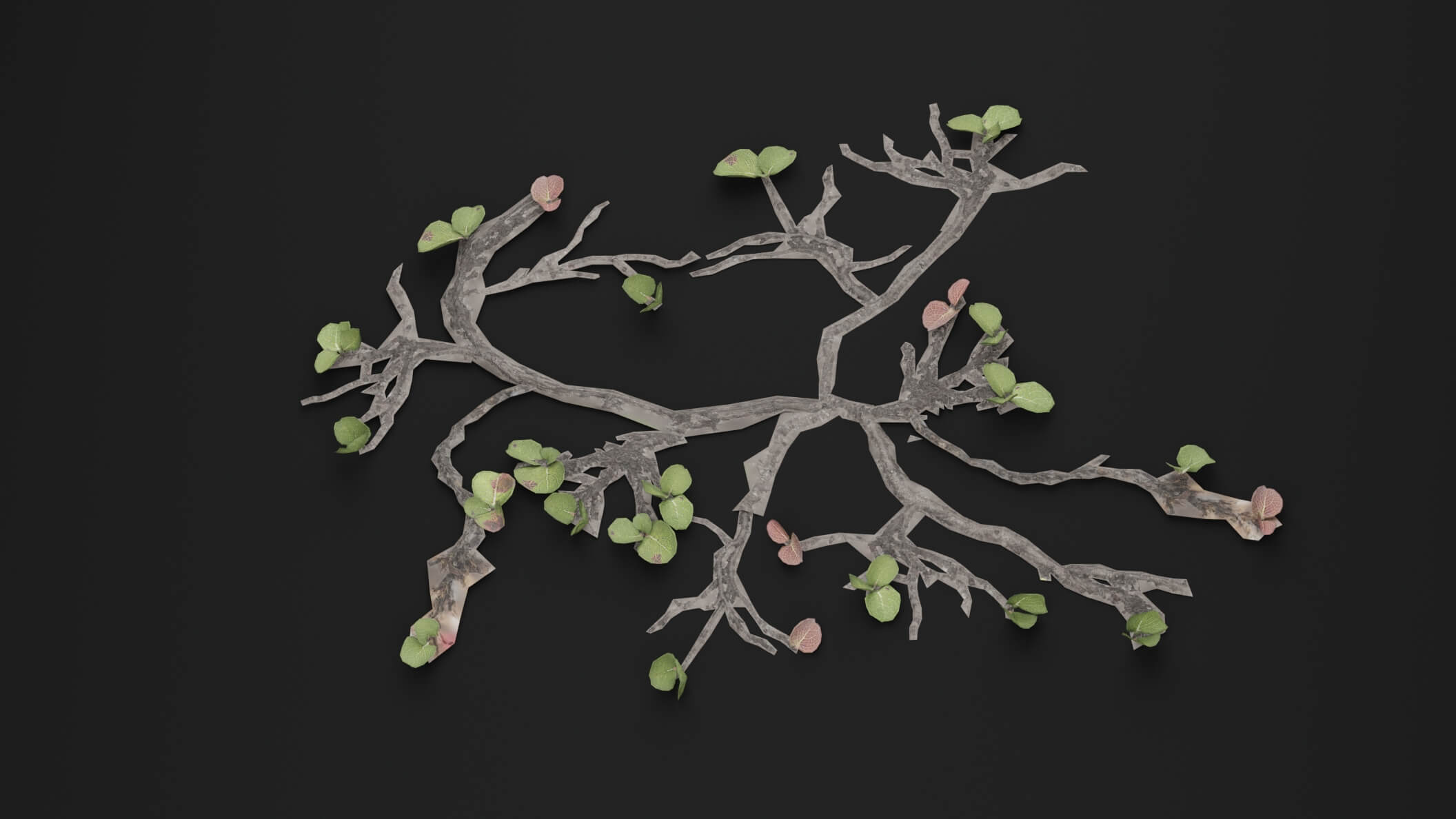 Dwarf Australian Weeping Willow - 3D Model by Green Lander