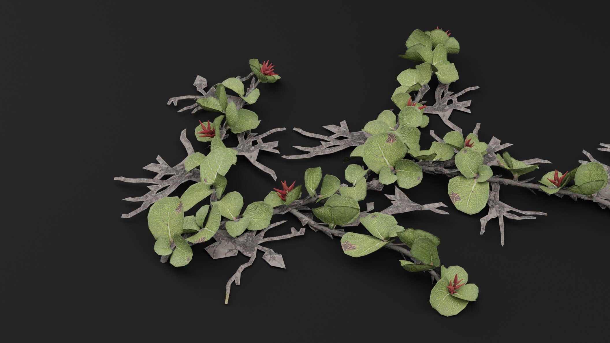 Dwarf Australian Weeping Willow - 3D Model by Green Lander