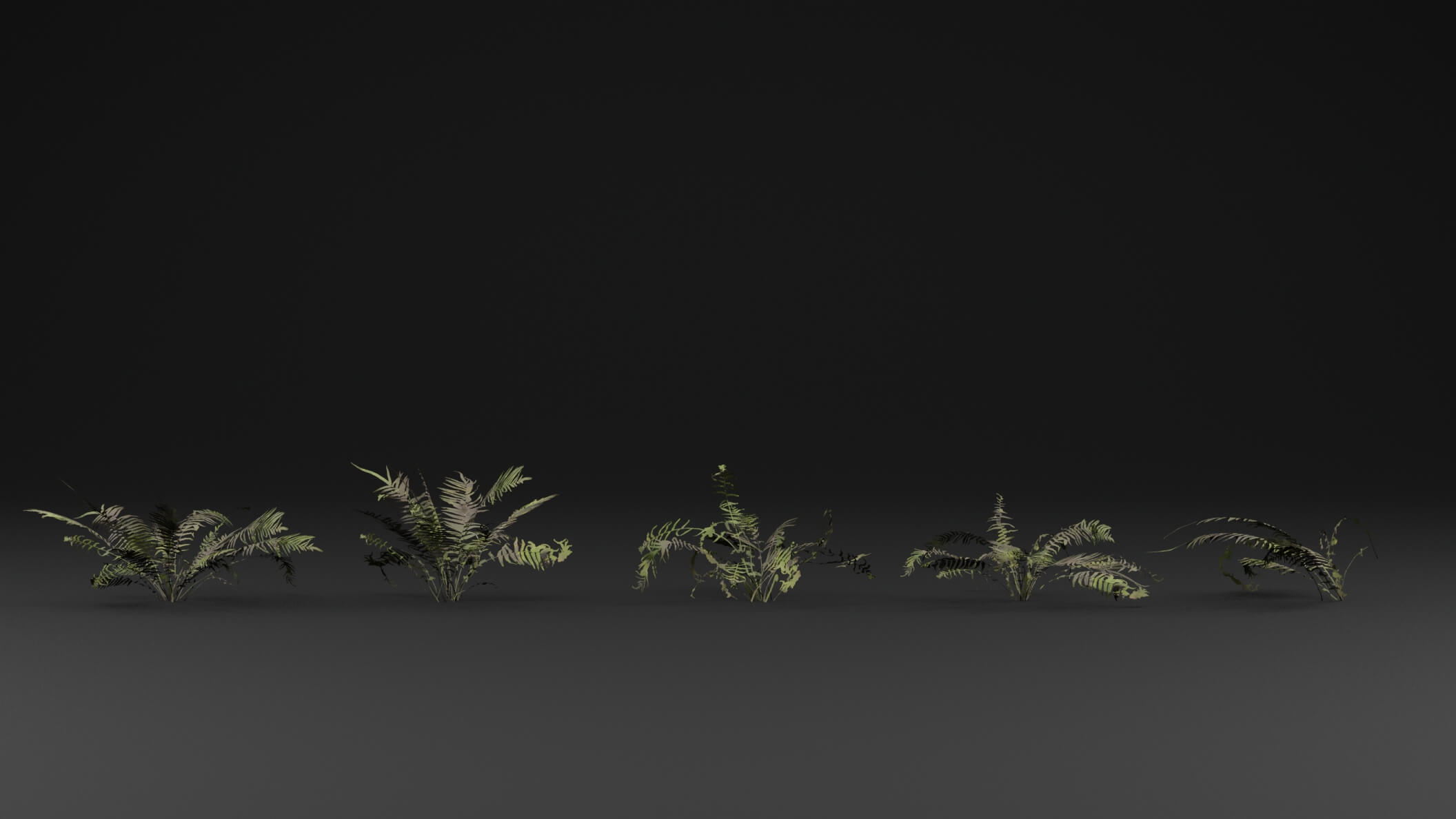 Classic Fern Plant - 3D Model by Green Lander