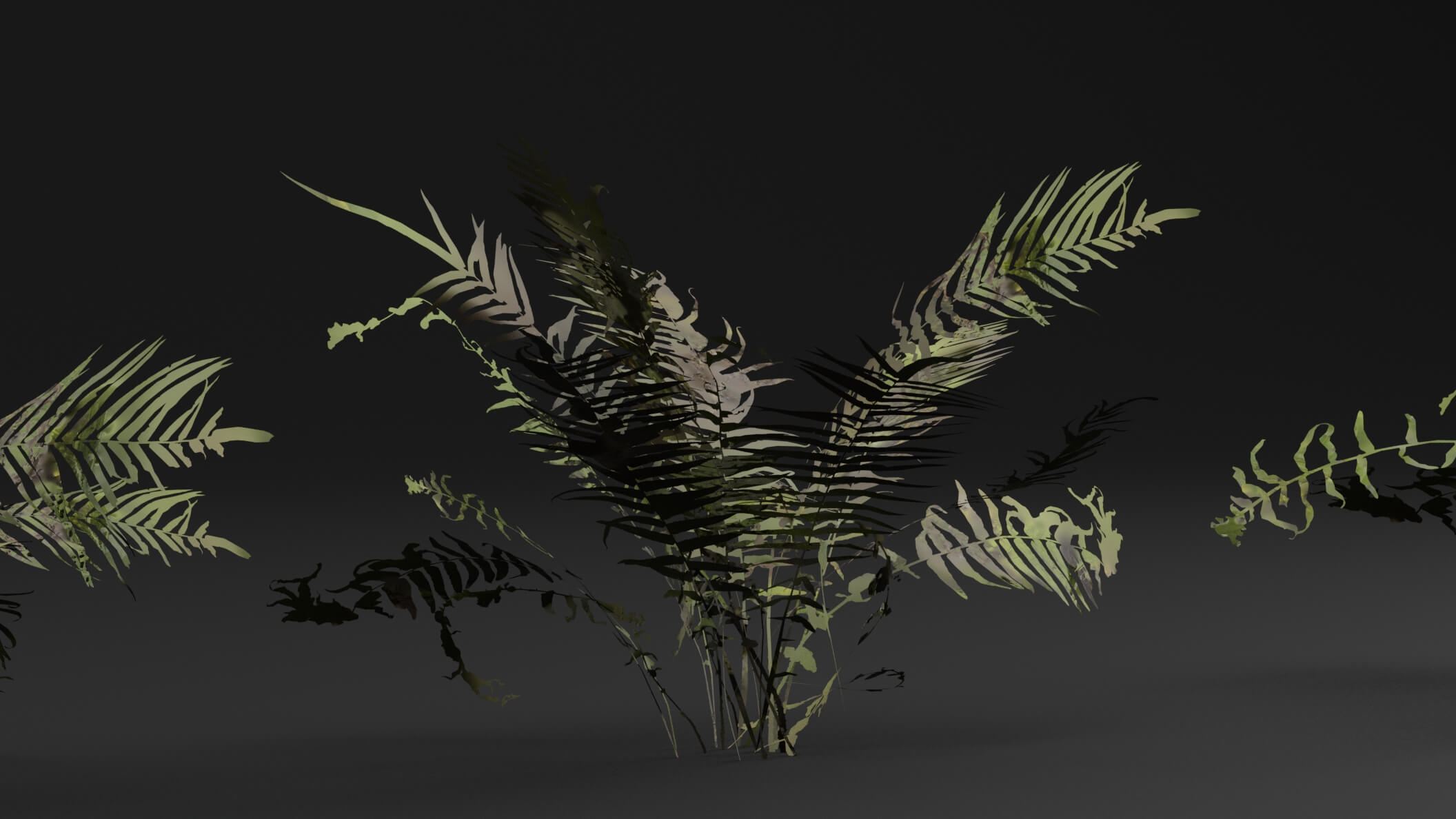Classic Fern Plant - 3D Model by Green Lander