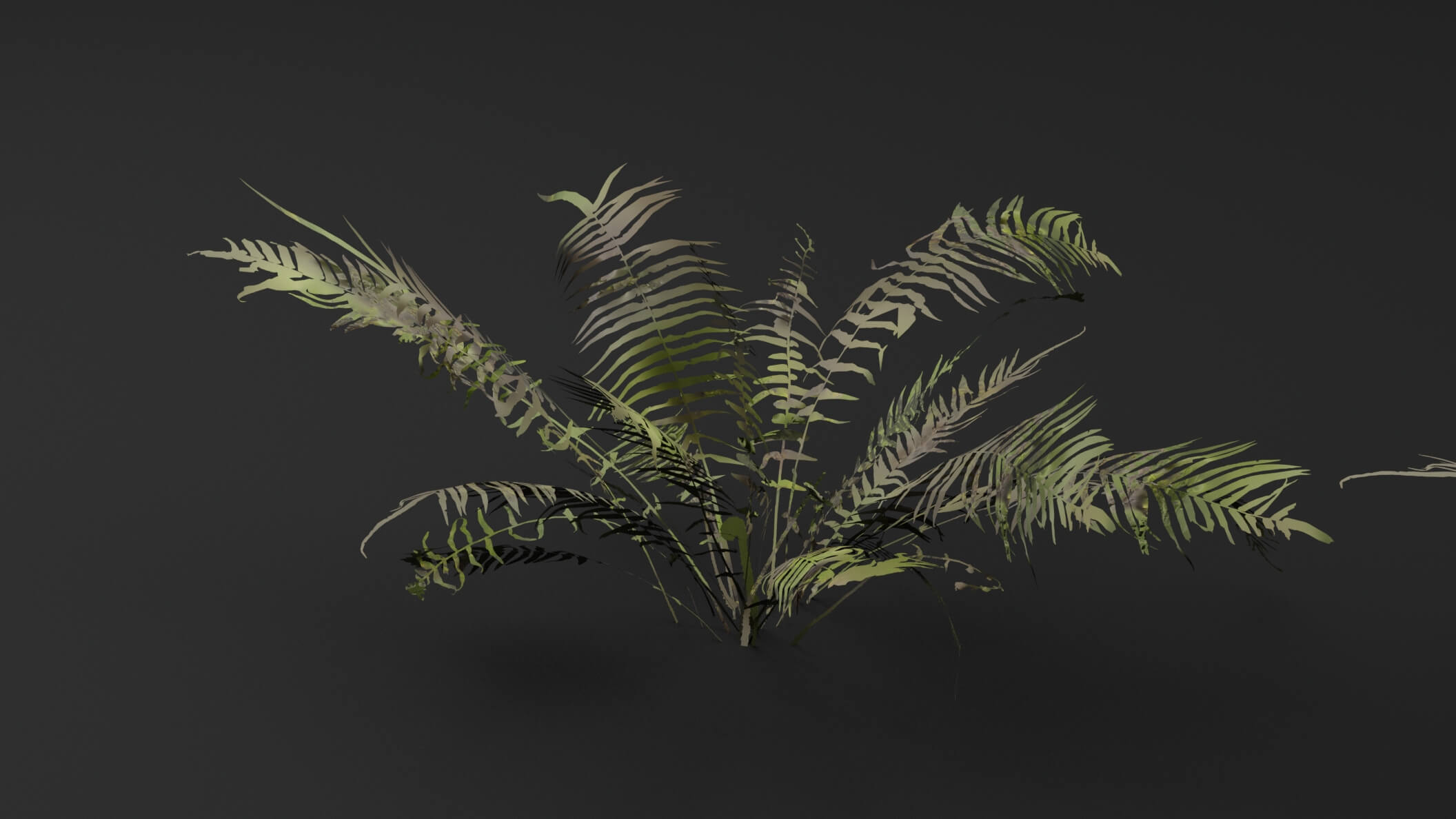 Classic Fern Plant - 3D Model by Green Lander