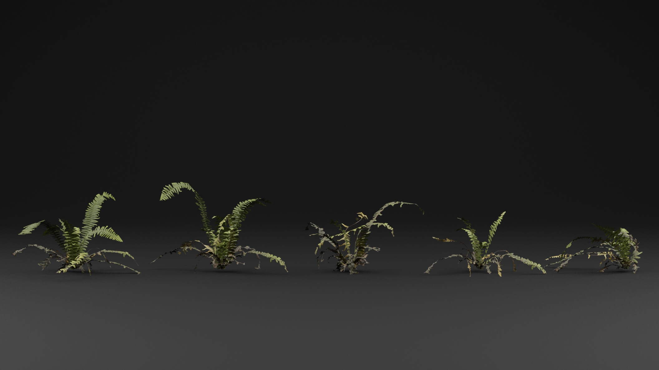 classic Fern Plant - 3D Model by Green Lander