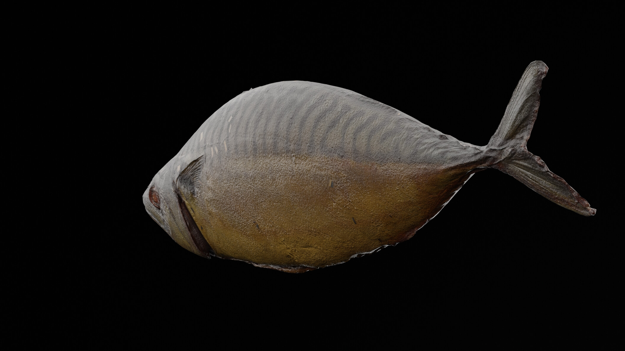 Fire Grilled Fish - 3D Model by Green Lander