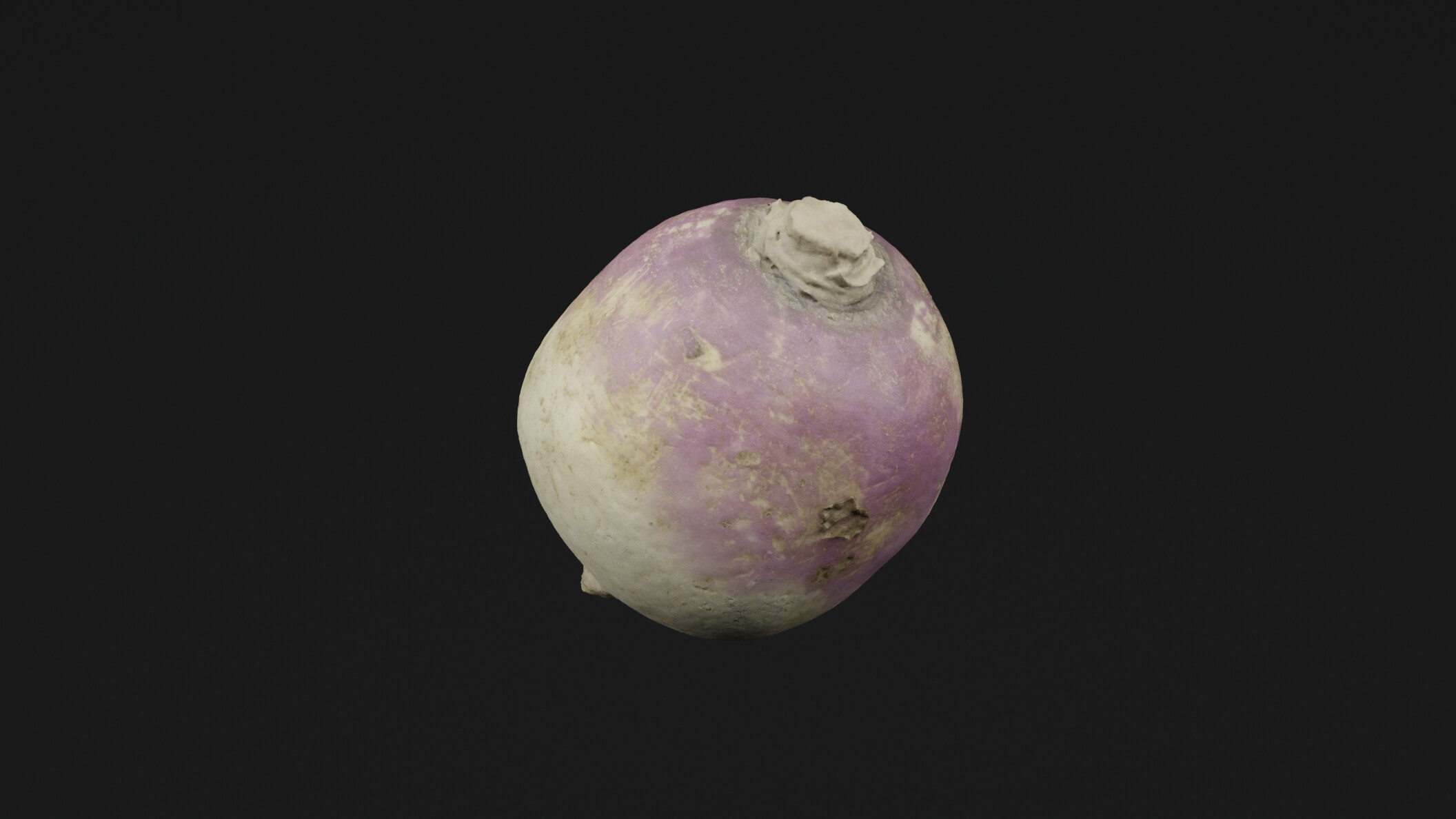 Turnip Vegetable - 3D Model by Green Lander