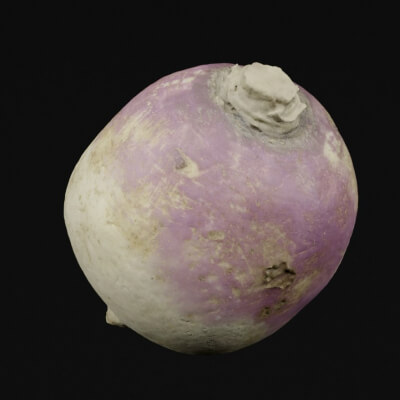 Turnip Vegetable - 3D Model by Green Lander