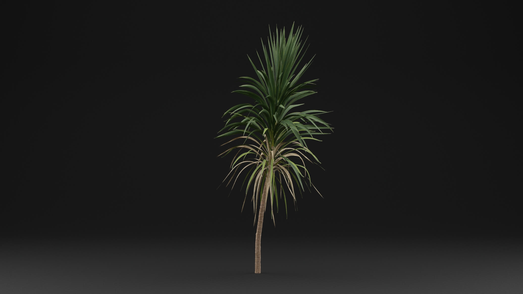 Realistic Garden Plants - 3D Model by Green Lander