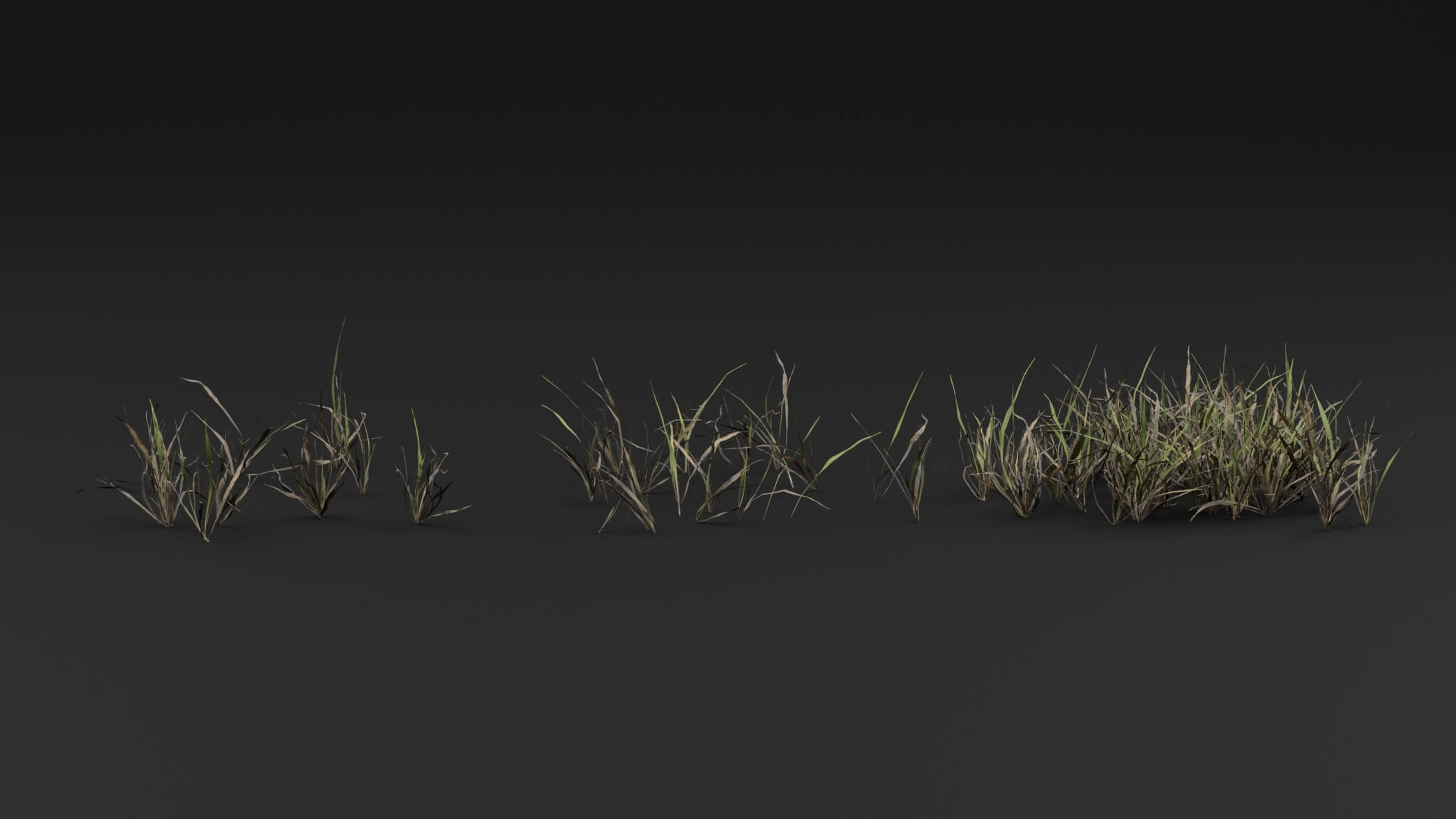 Grass Clumps Plant - 3D Model by Green Lander
