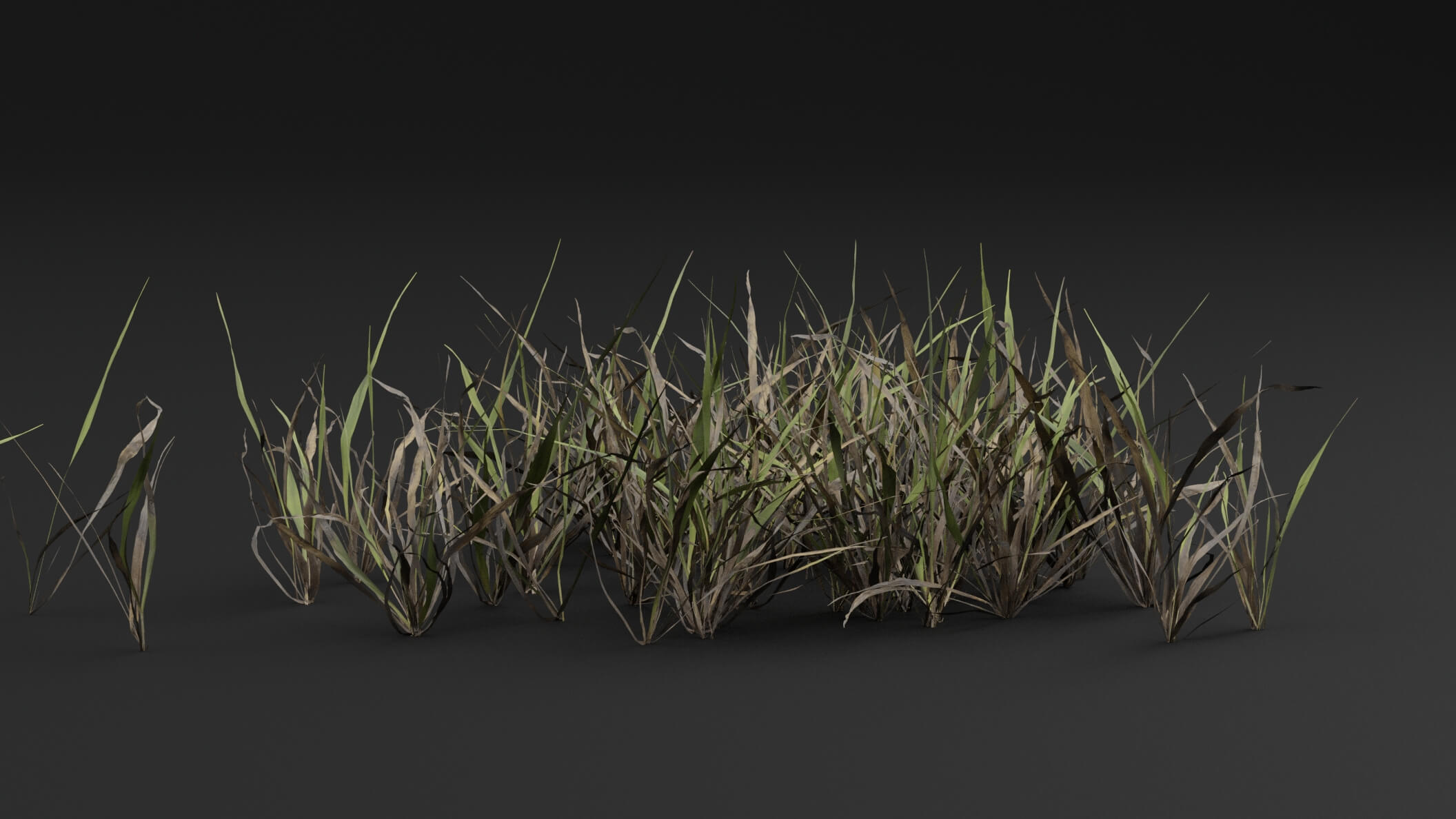 Grass Clumps Plant - 3D Model by Green Lander