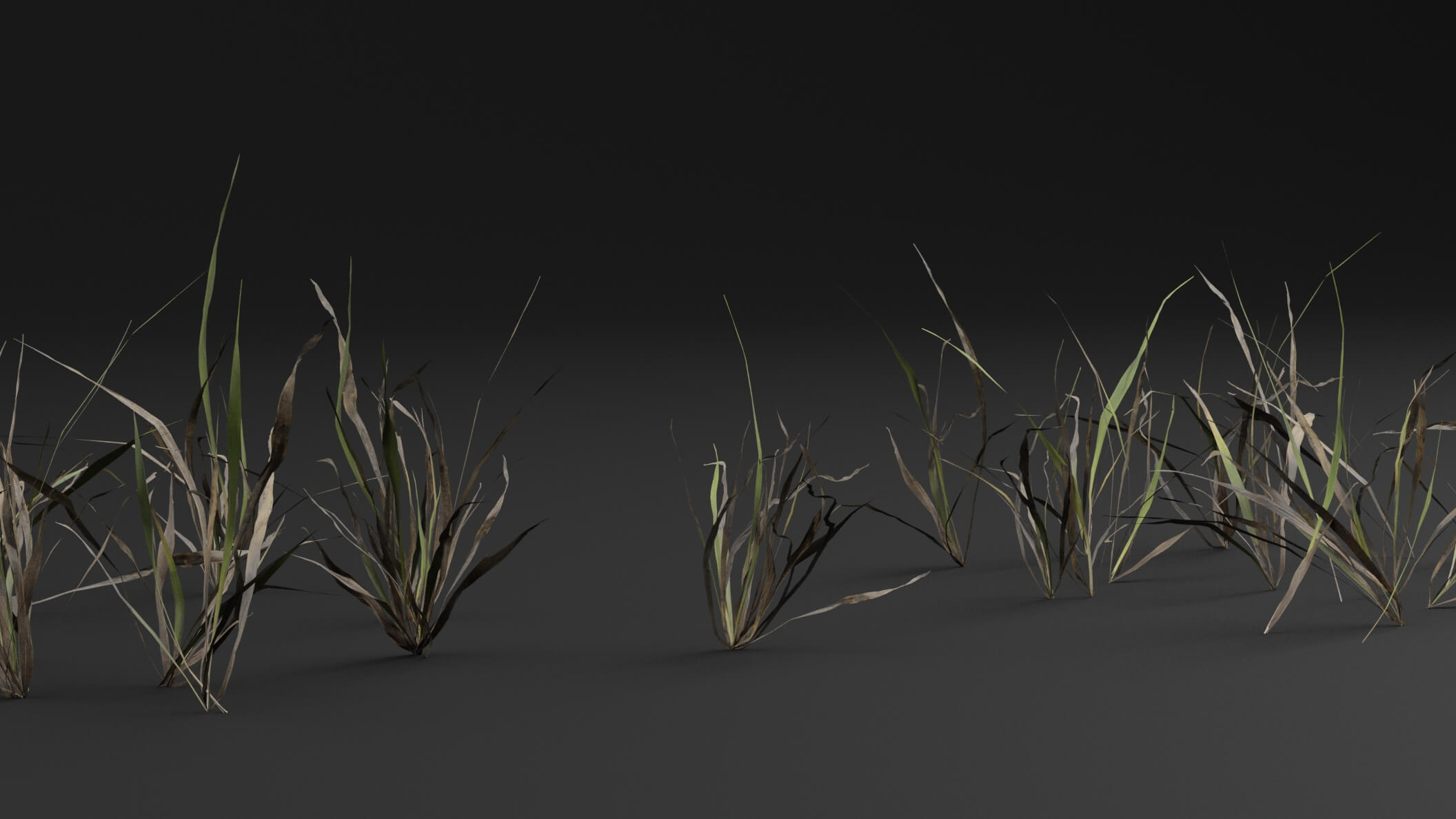 Grass Clumps Plant - 3D Model by Green Lander