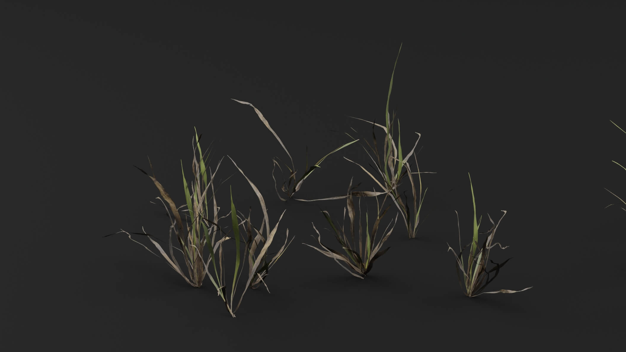 Grass Clumps Plant - 3D Model by Green Lander