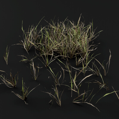 Grass Clumps Plant - 3D Model by Green Lander