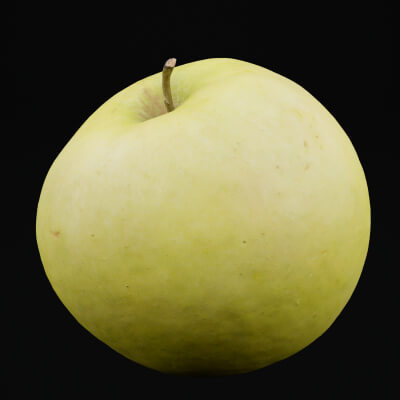 Green Yellow Apple - 3D Model by Green Lander